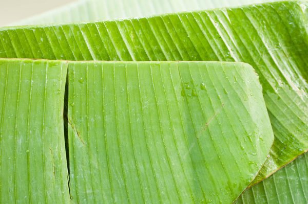 Ingredients - hsa*ba: please eat